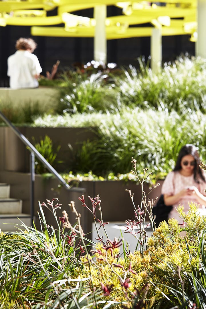 Quay Quarter Tower | ASPECT Studios