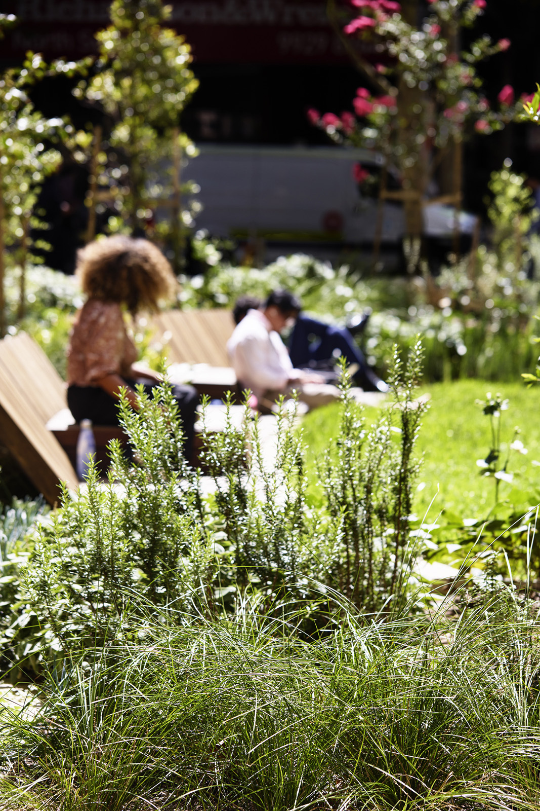 Berry Square | ASPECT Studios