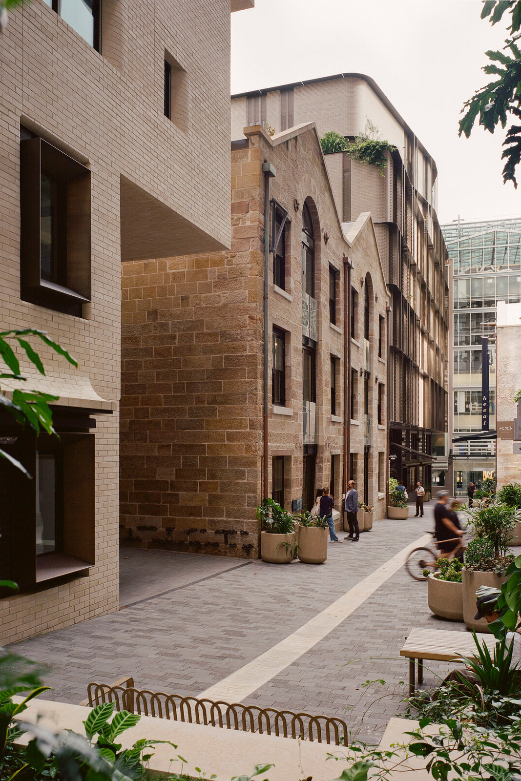 Spit Master Plan takes home AILA Landscape Awards | ASPECT Studios