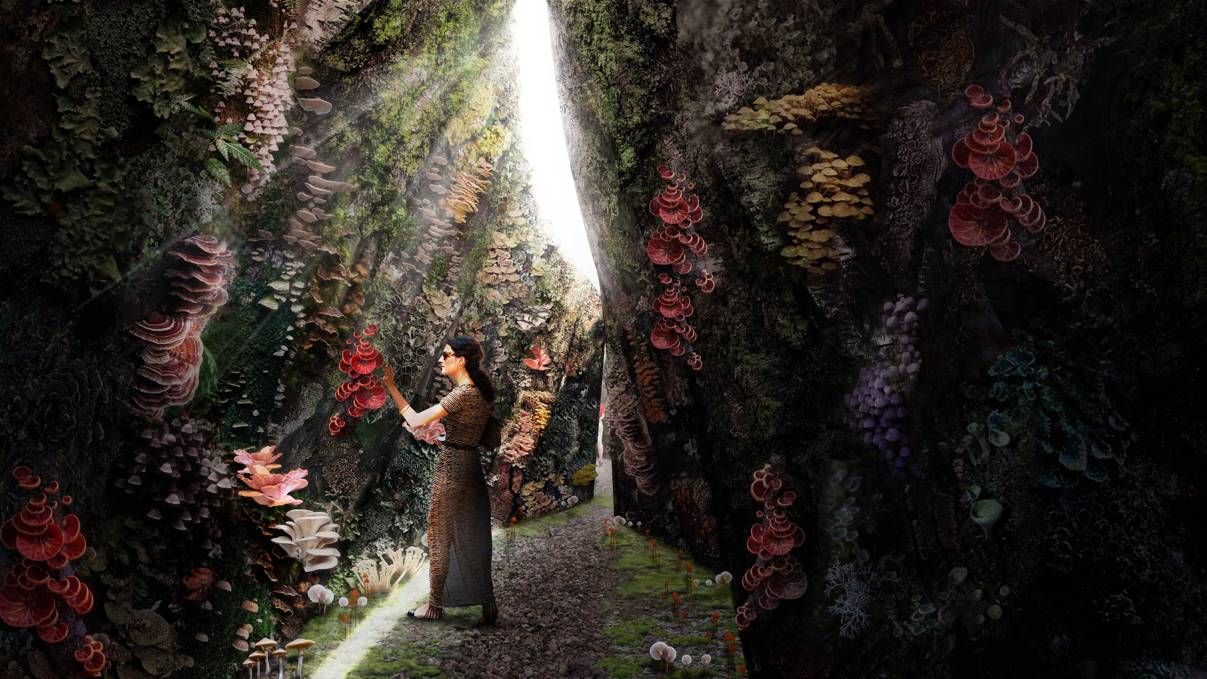 Landscape Architects Sydney | ASPECT Studios