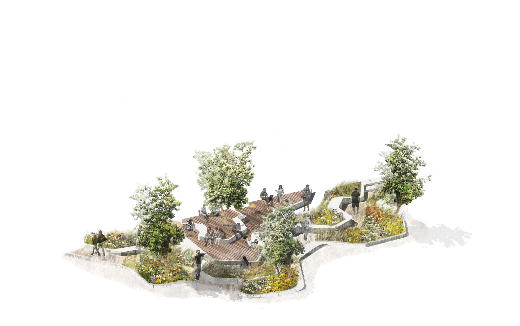 Landscape Architects Sydney | ASPECT Studios