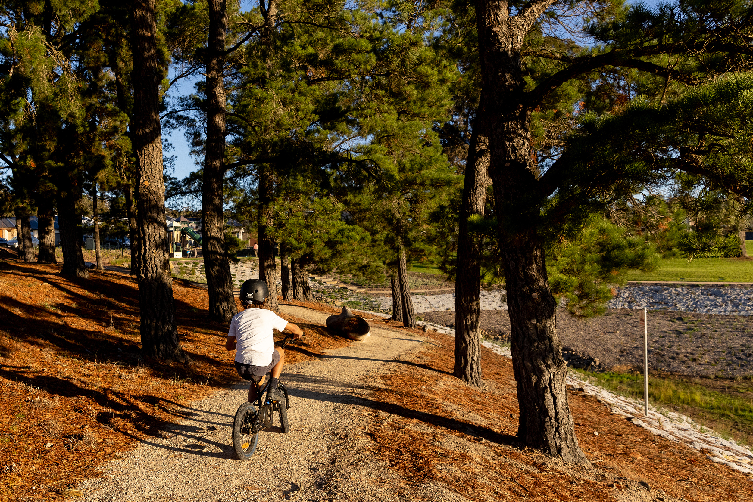 Banjo Park at Smiths Lane receives commendation at… | ASPECT Studios