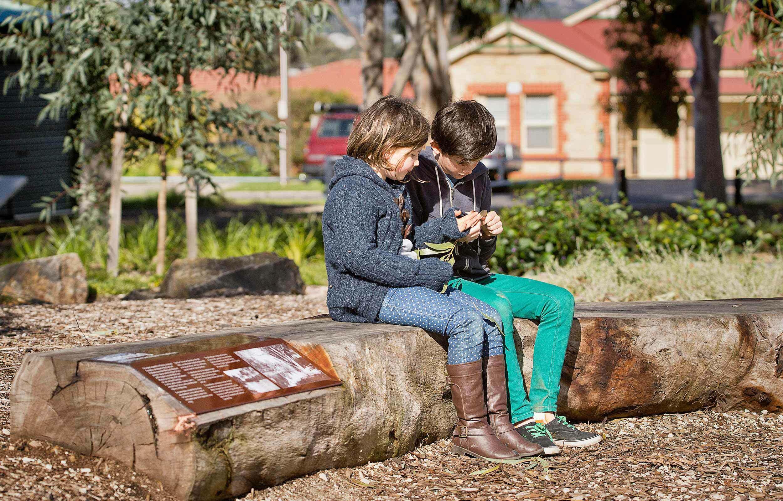 Klemzig Reserve Imterpretive Signage | ASPECT Studios