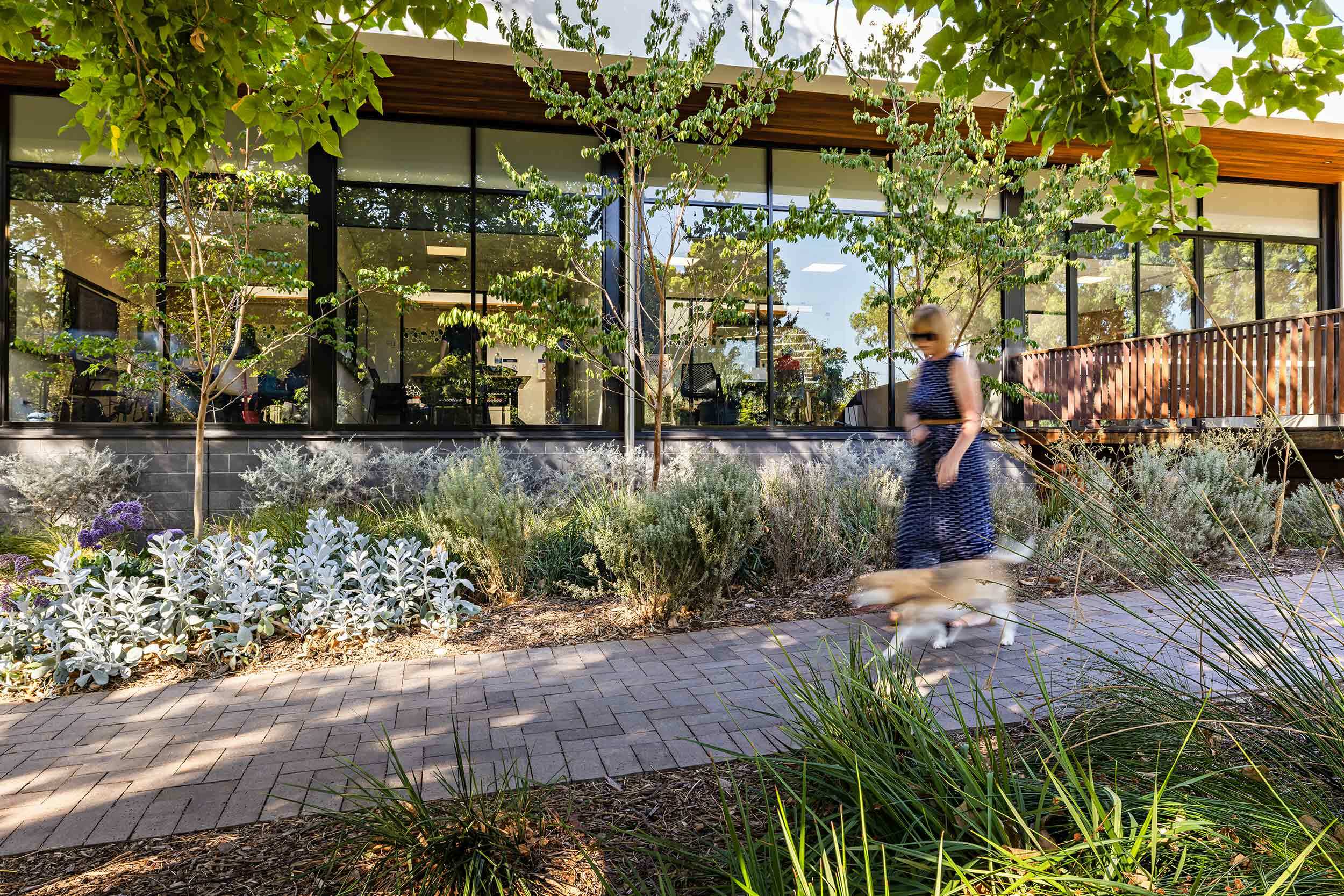 Mitcham Library and Brown Hill Creek | ASPECT Studios