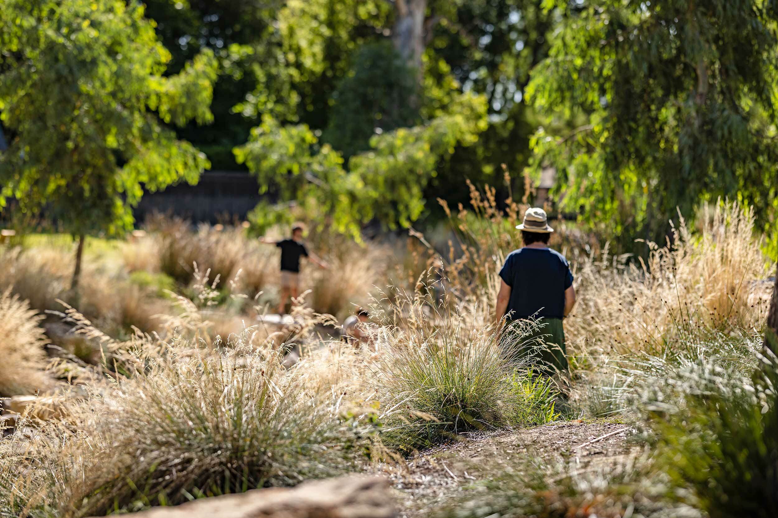 Mitcham Library and Brown Hill Creek | ASPECT Studios