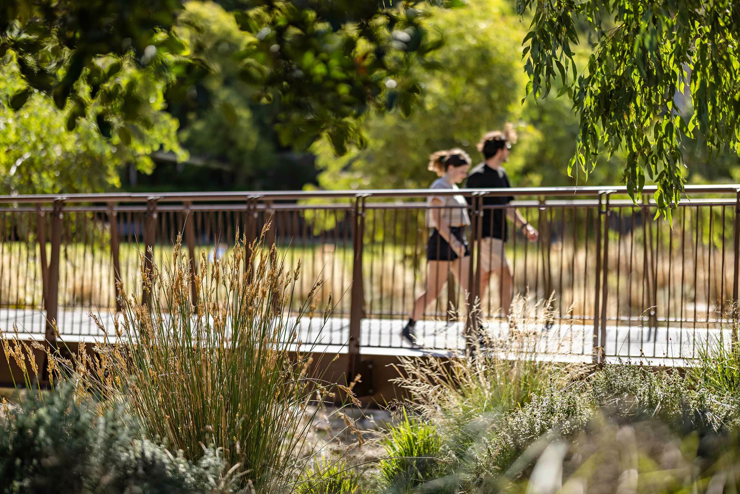 Mitcham Library and Brown Hill Creek | ASPECT Studios