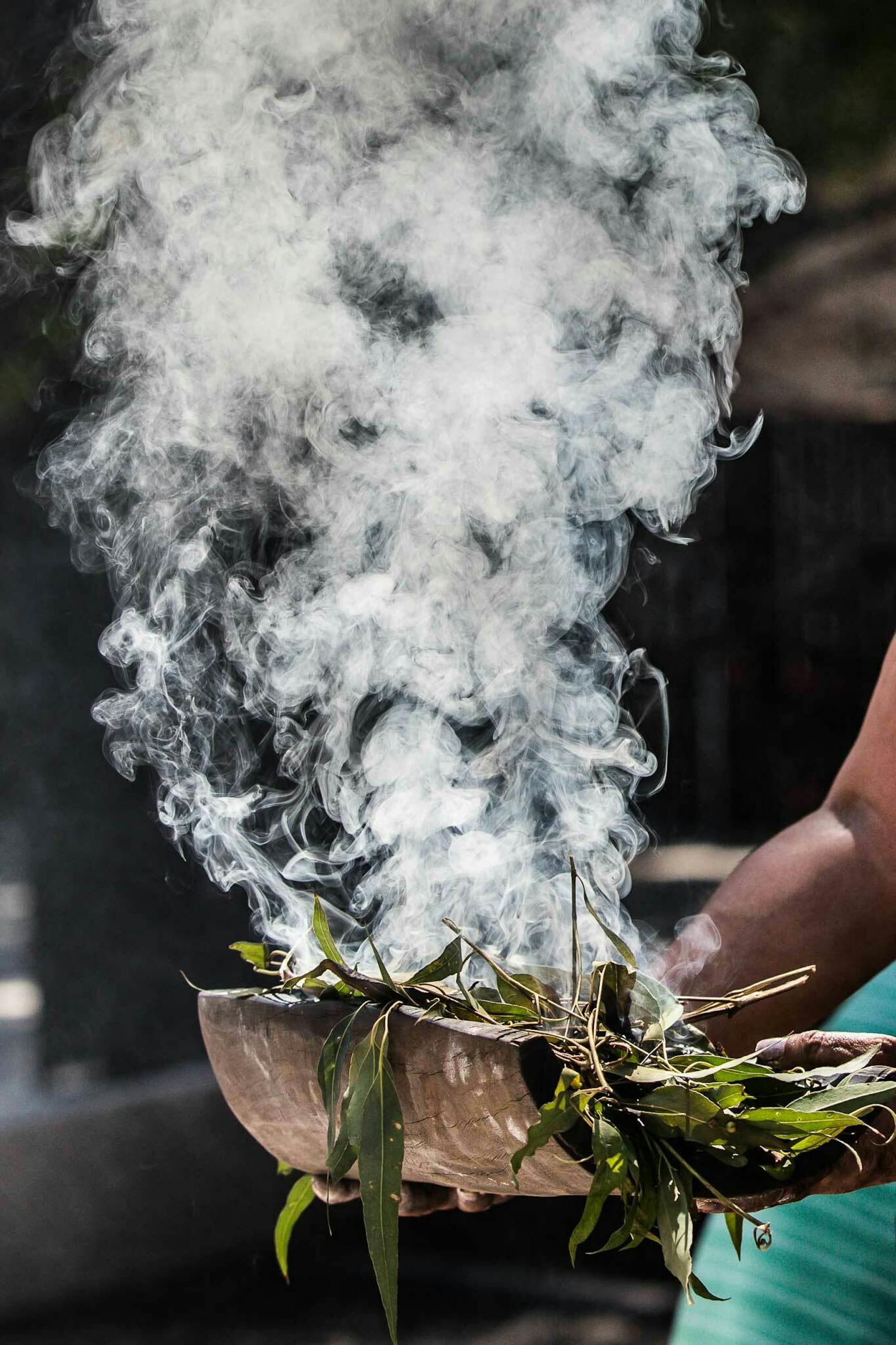 Green infrastructure & living architecture | ASPECT Studios