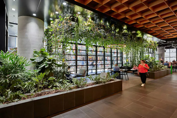 Landscape Architects Sydney | ASPECT Studios