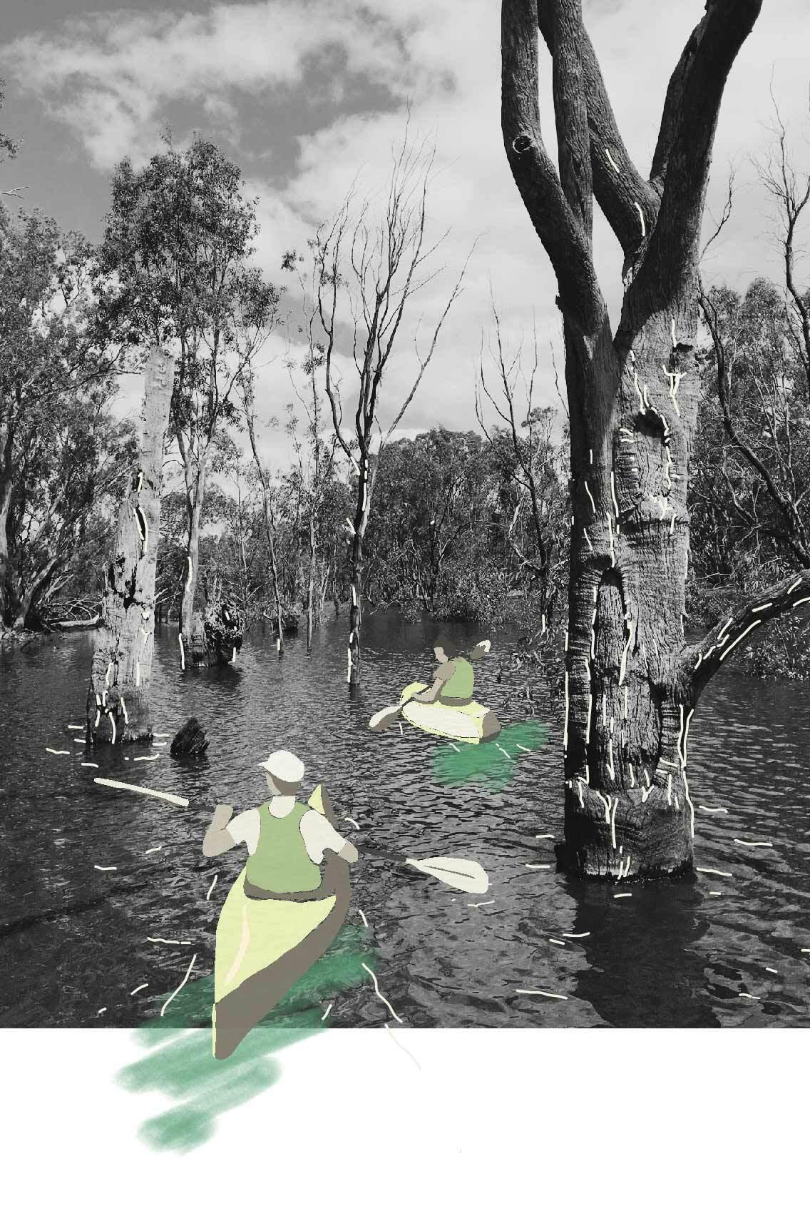 Lake Boort Scarred Tree Master Plan | ASPECT Studios