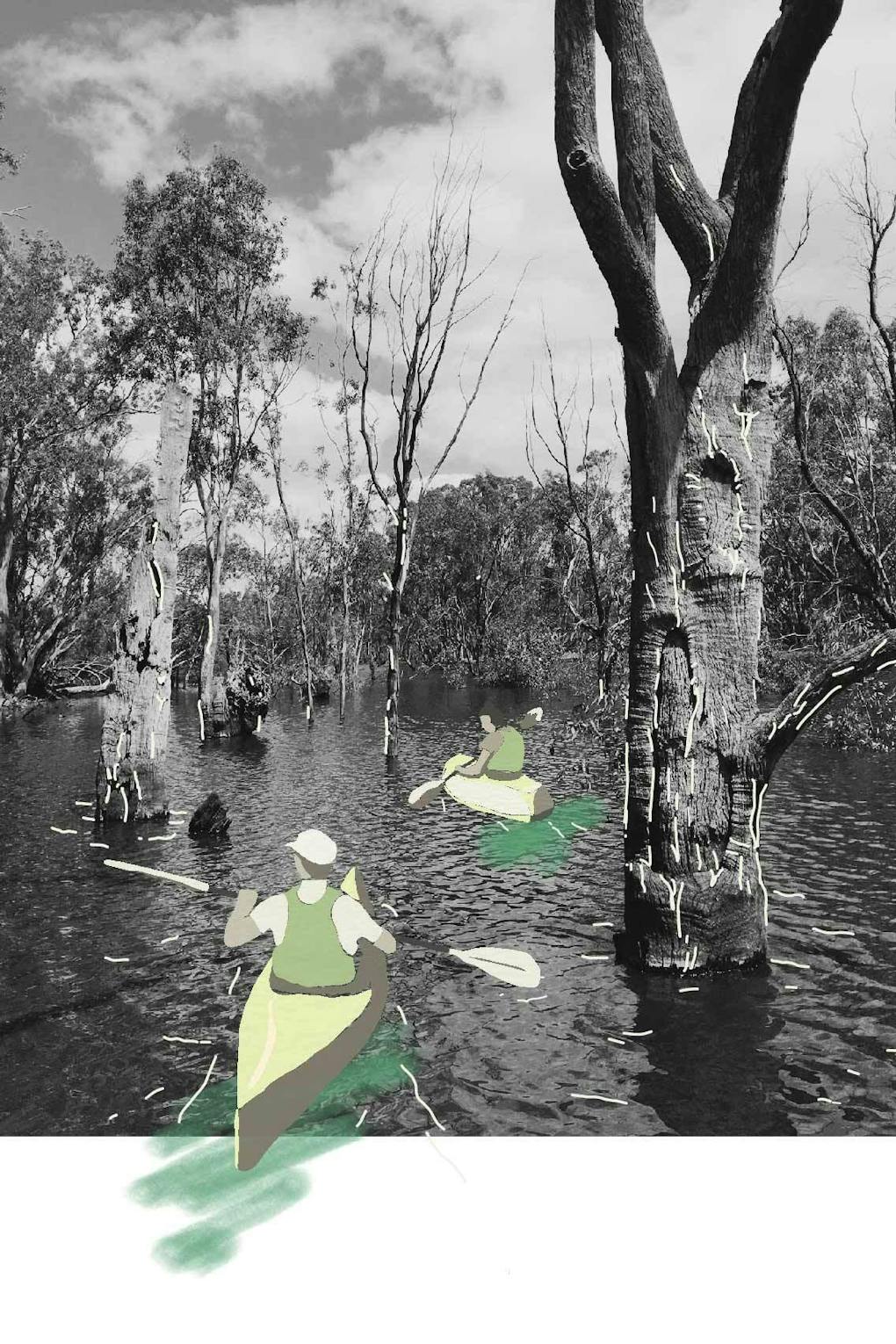 Lake Boort Scarred Tree Master Plan | ASPECT Studios