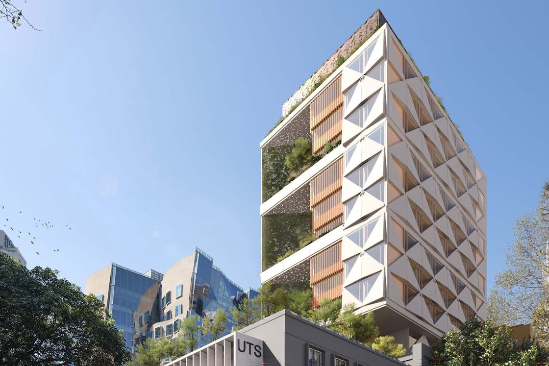 Rewilding Sydney's most Urban Neighbourhood | ASPECT Studios