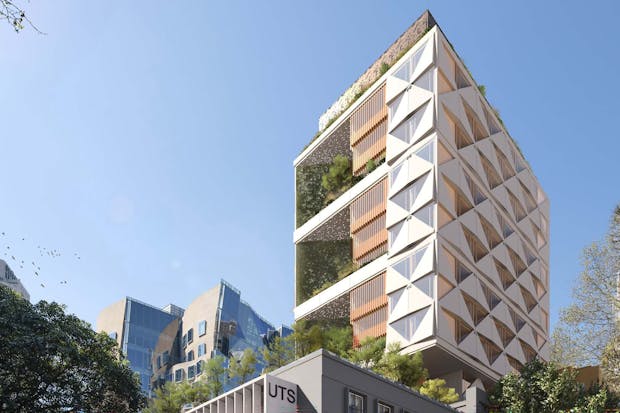 Rewilding Sydney's most Urban Neighbourhood | ASPECT Studios