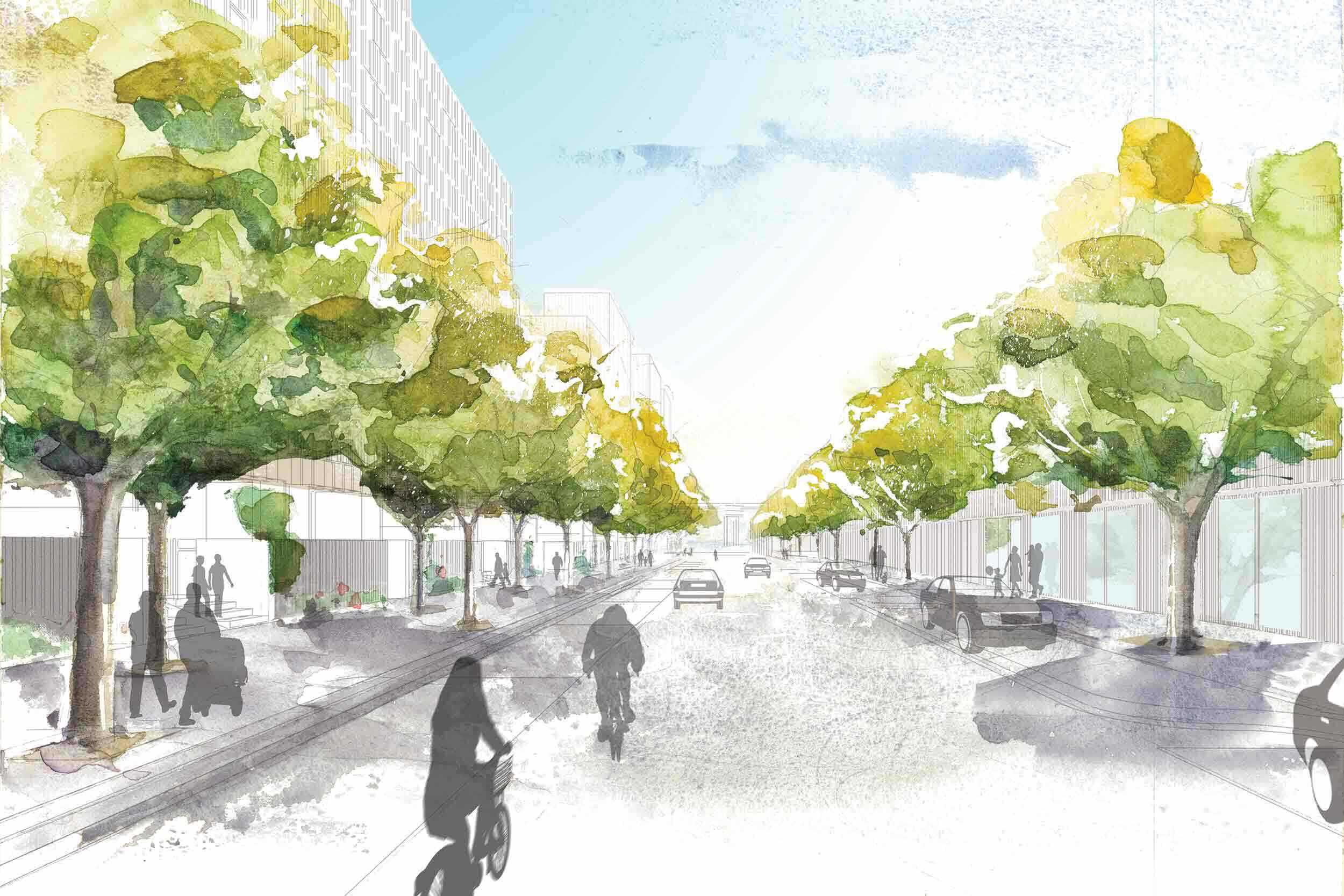 Collins Wharf Masterplan | ASPECT Studios