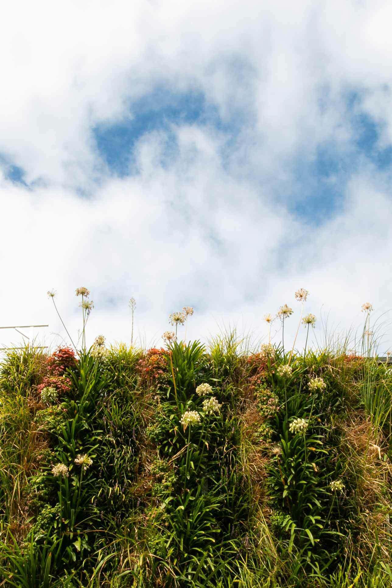 Monash University Living Laboratory | Aspect Studios