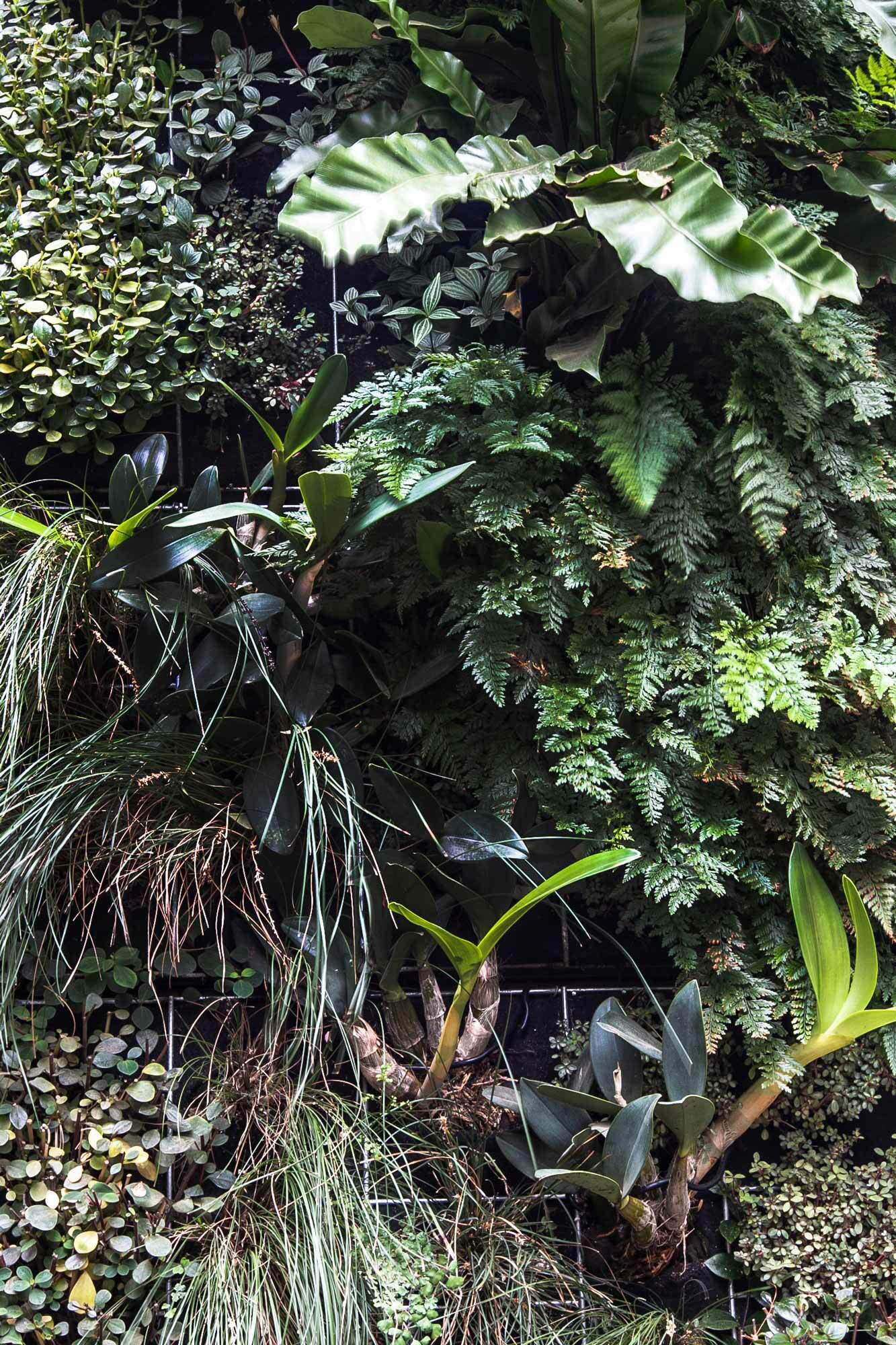 Monash University Living Laboratory | Aspect Studios