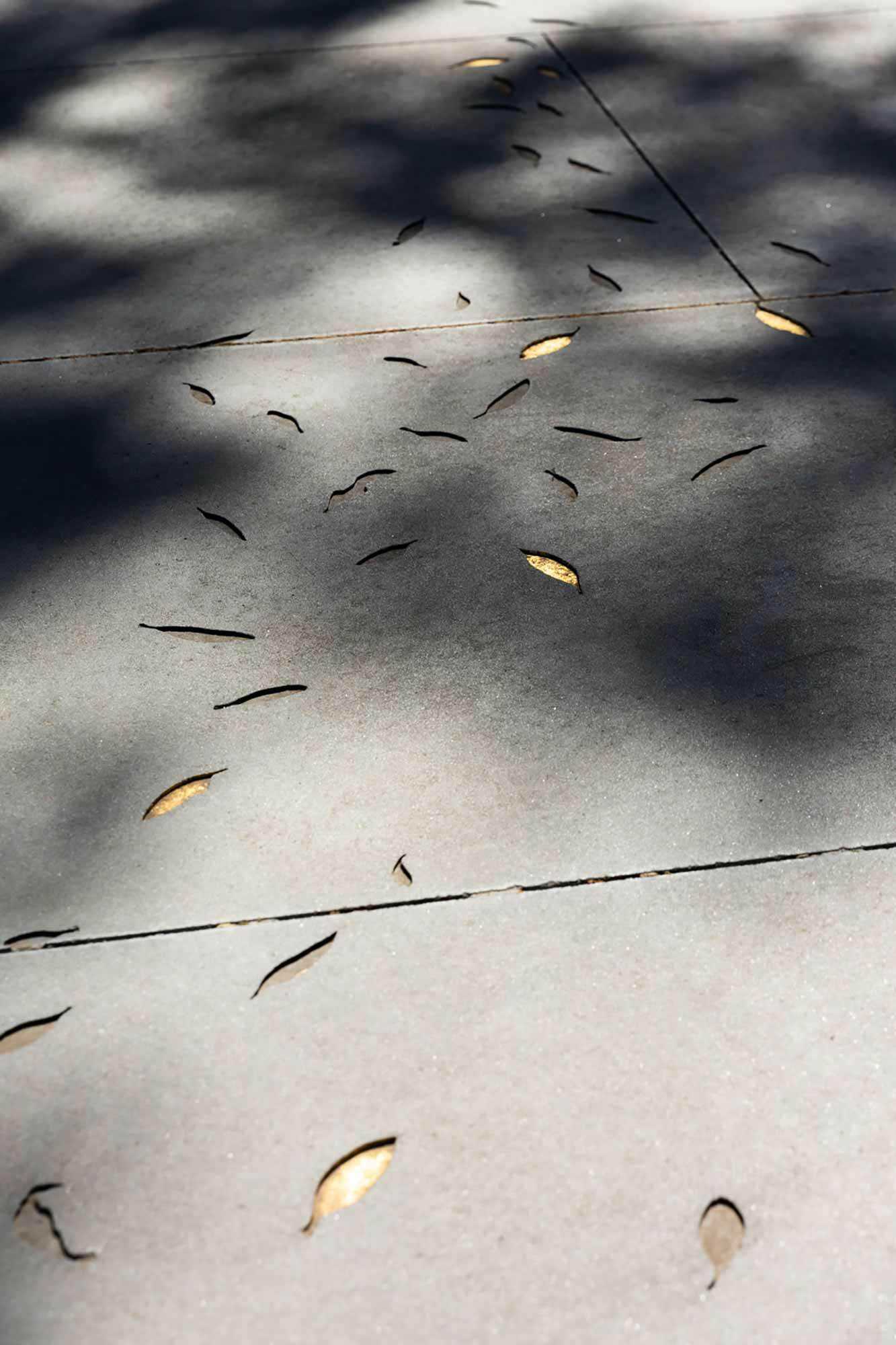 Monash University Southern Precinct Landscape | ASPECT Studios