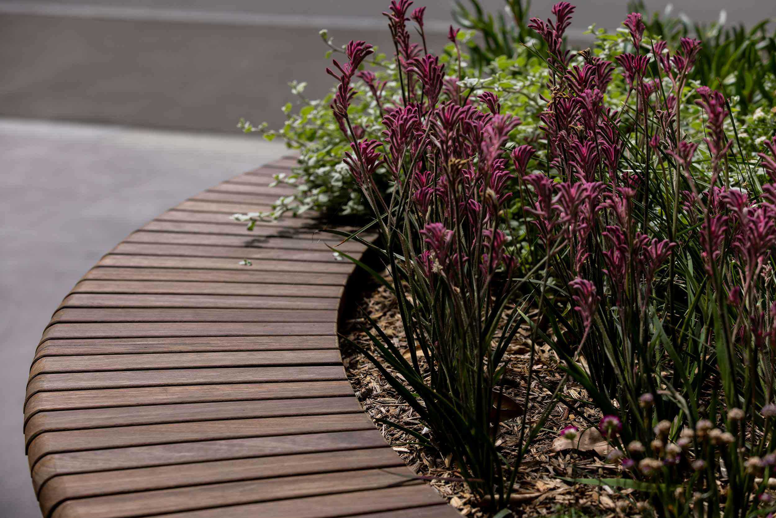 One Darling Island | ASPECT Studios