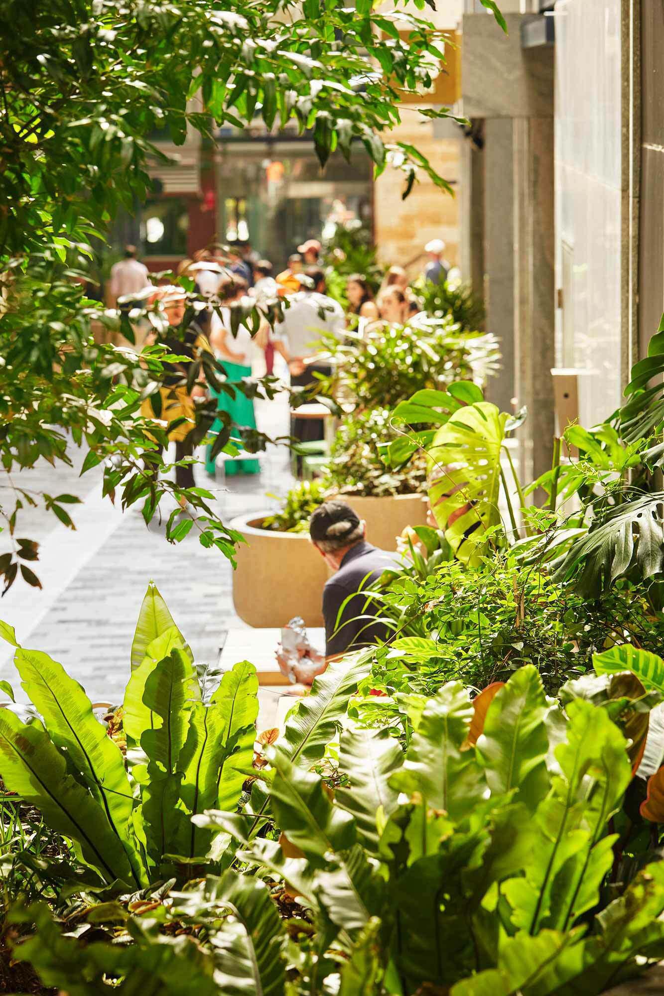 Quay Quarter Lanes | ASPECT Studios