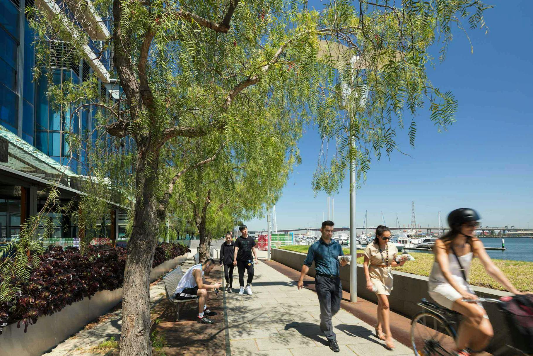 Victoria Harbour Precinct | ASPECT Studios