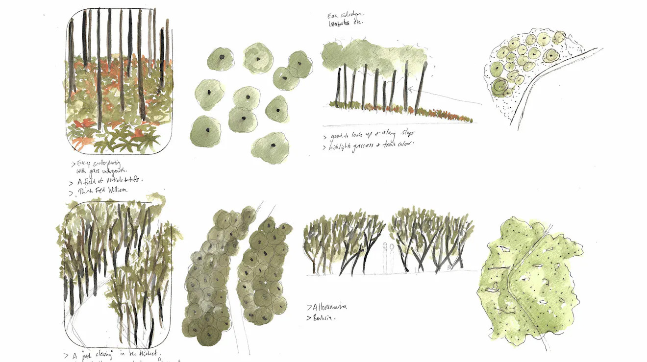 Landscape Architects Sydney | ASPECT Studios