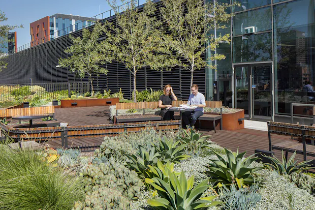 Commonwealth Bank Roof Terrace, Darling Square | ASPECT Studios