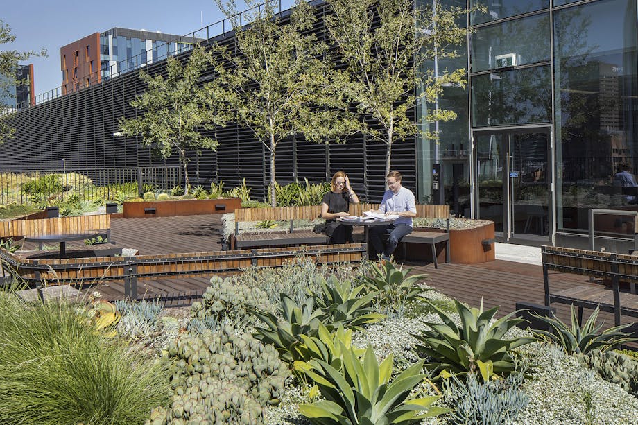 Commonwealth Bank Roof Terrace, Darling Square | ASPECT Studios