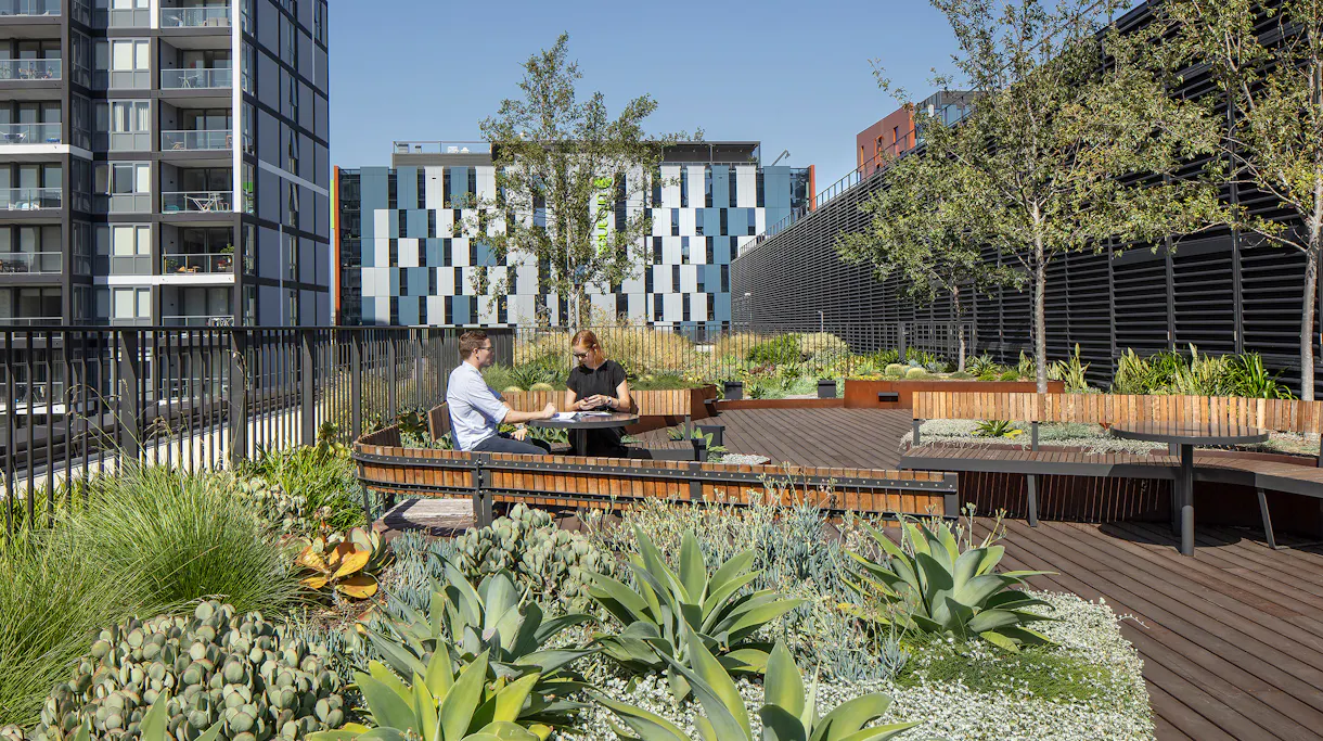 Commonwealth Bank Roof Terrace, Darling Square | ASPECT Studios