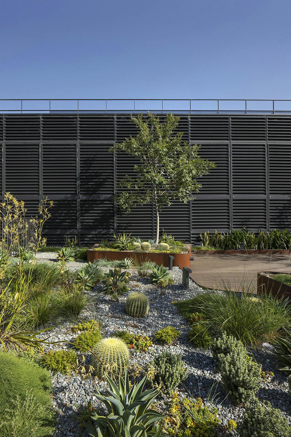 Commonwealth Bank Roof Terrace, Darling Square | ASPECT Studios