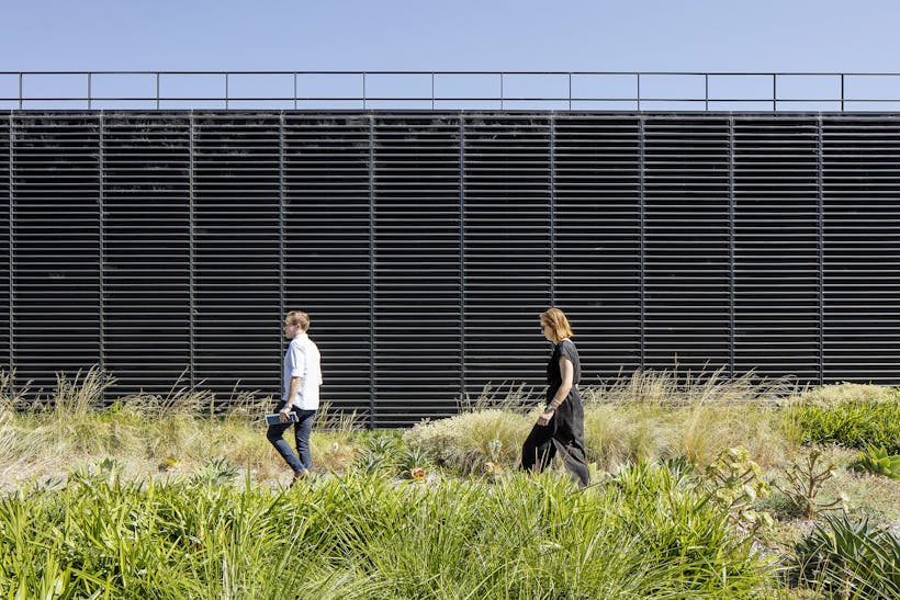 Commonwealth Bank Roof Terrace, Darling Square | ASPECT Studios