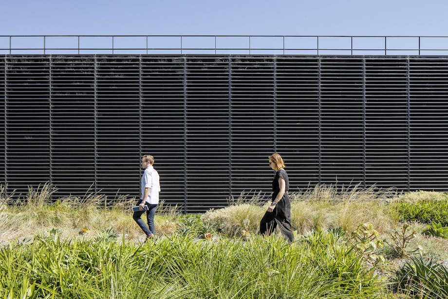 Commonwealth Bank Roof Terrace, Darling Square | ASPECT Studios