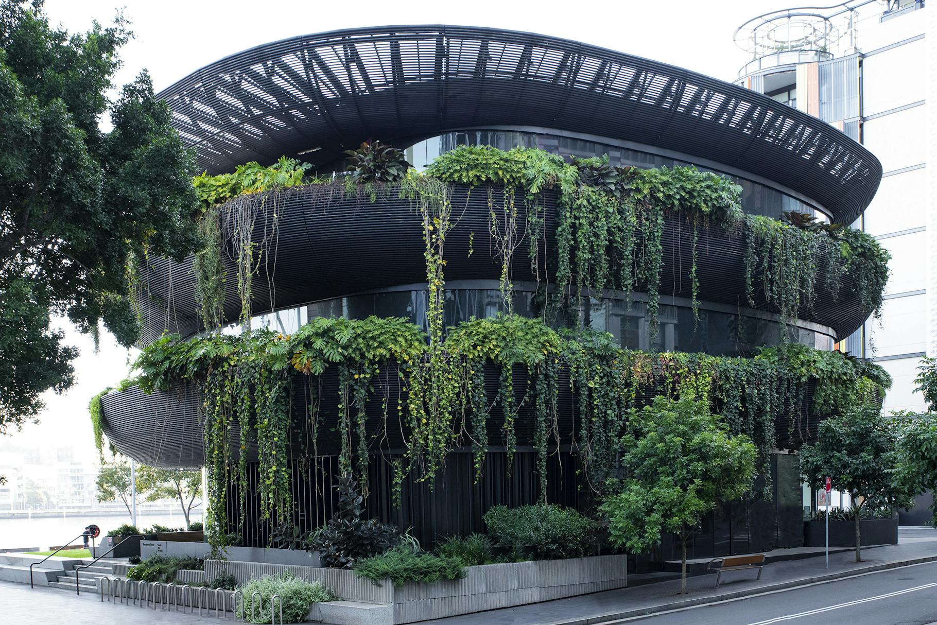 Barangaroo House | ASPECT Studios